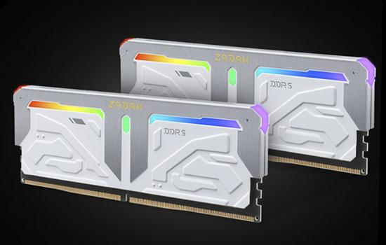 Memória DDR5 Zadak SPARK, RGB, 16GB, 5600MHz, White, ZD5-SPR56C52-16G2W1