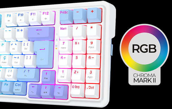 Teclado Gamer Mecânico Redragon Gloria Pro, RGB, Wireless, Bluetooth ...