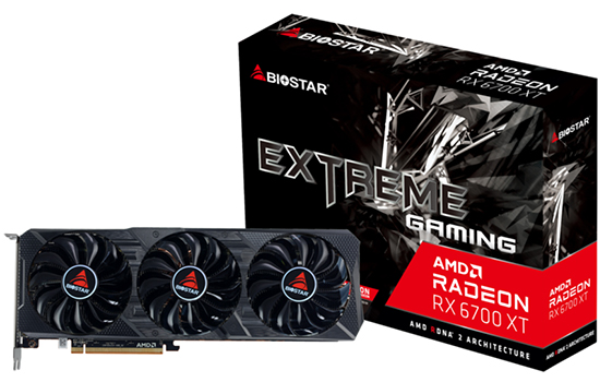 Placa de Vídeo Biostar AMD Radeon RX 6700 XT OC